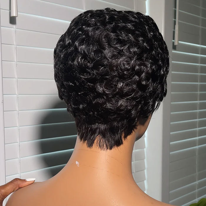 Glueless Curly Pixie Wig with Drawstring Cap Pre Styled Human Hair Mac ...